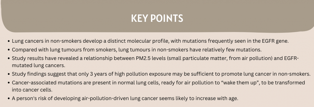 Scientists reveal how air pollution can cause lung cancer in non ...